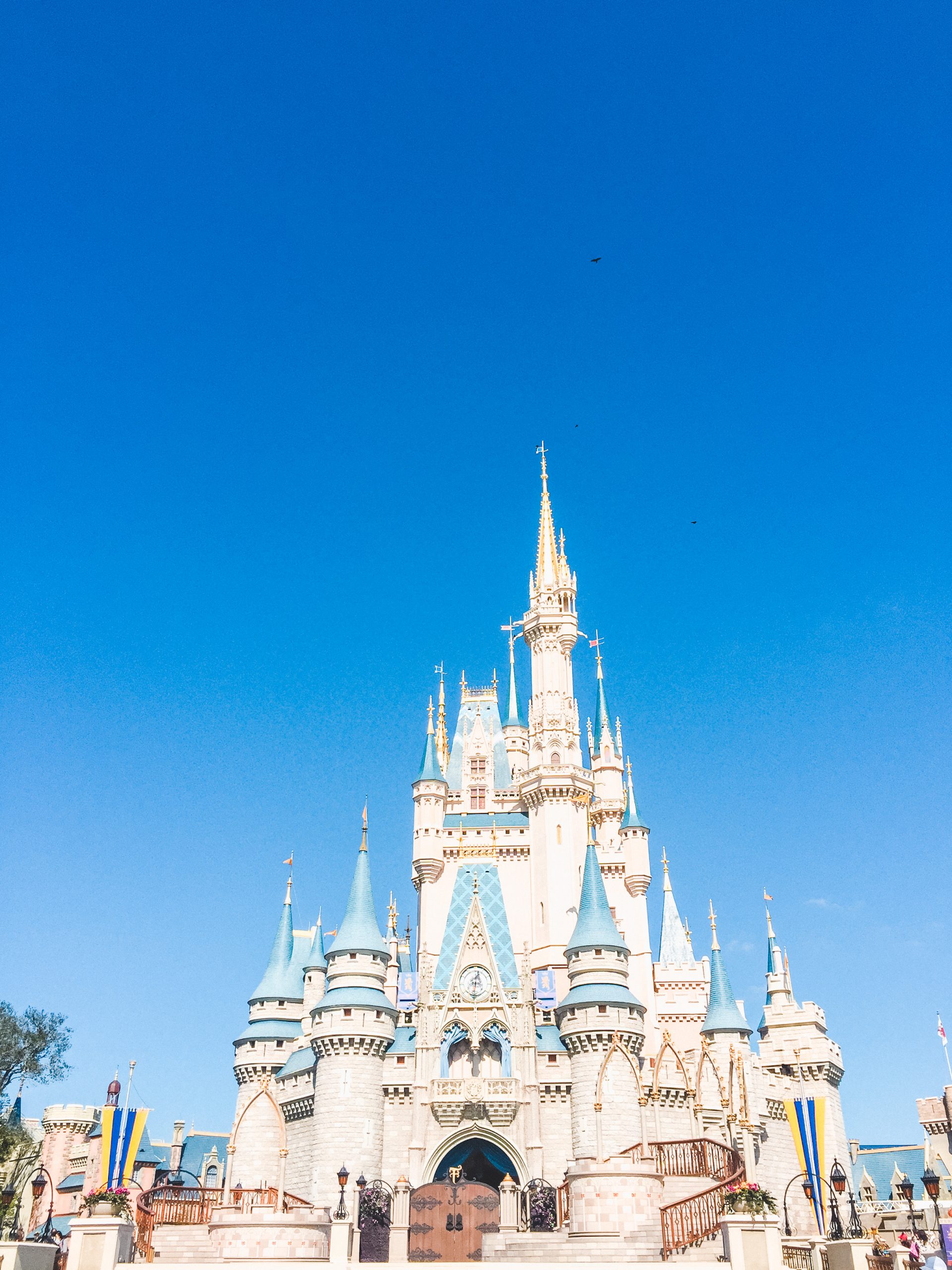 5 cosas de Walt Disney World que seguro no sabías - Traveler Designer